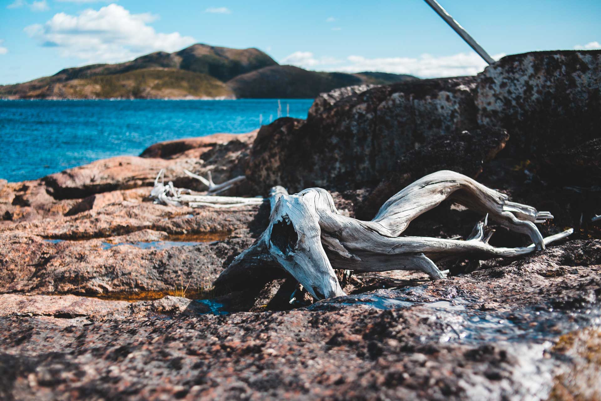 Innu-Inuit Toromont | Innu Development Limited Partnership | Happy ...